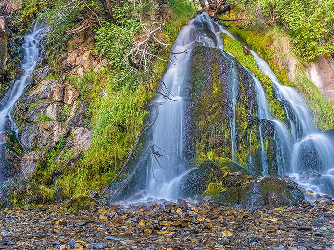 Nature's own masterpiece, where water cascades over moss-covered rocks in a symphony of sound and motion that makes your everyday shower seem woefully inadequate.