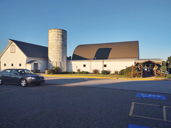 The iconic white barn structure stands proudly against the Ohio sky, complete with its authentic silo. Americana doesn't get more picture-perfect than this.