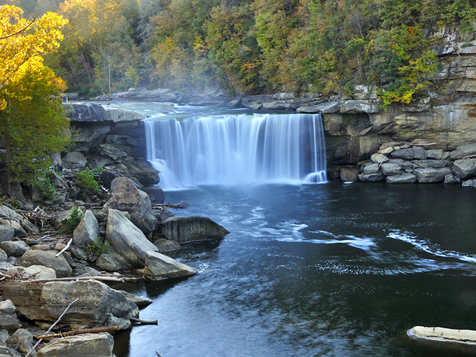 Autumn transforms Cumberland Falls into a painter's dream, where golden foliage frames the cascading waters like nature's own picture frame.