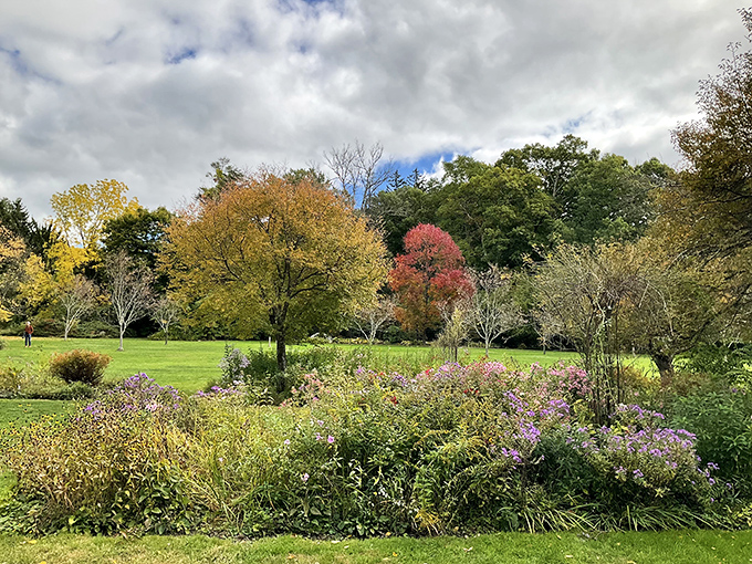 Nature's color palette on full display&mdash;autumn wildflowers frame golden trees while purple asters add that perfect pop of "I can't believe this is New Jersey" charm.