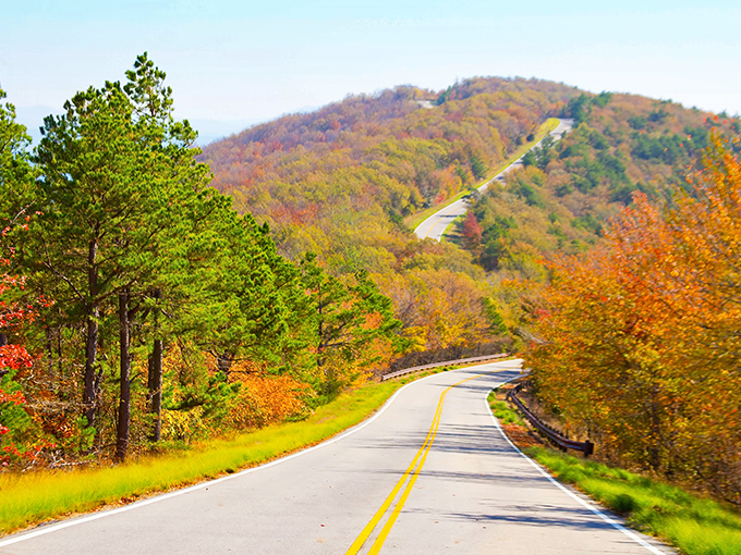 Nature's rollercoaster for grown-ups. The Talimena Byway curves through autumn's palette like a paintbrush dipped in the colors of joy.