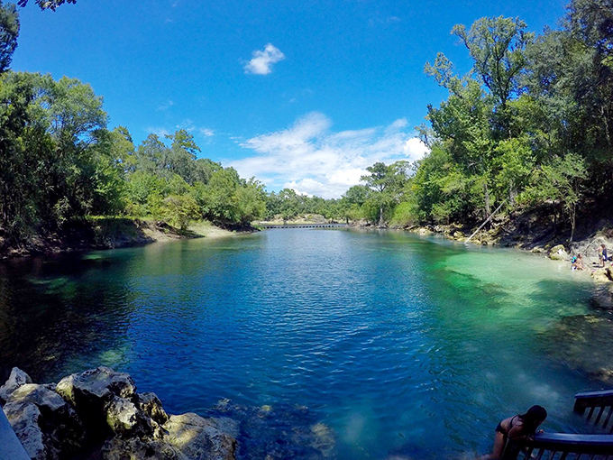 Nature's swimming pool comes with its own color scheme &ndash; impossibly blue waters framed by Florida greenery that makes you wonder if you're still in the same state.