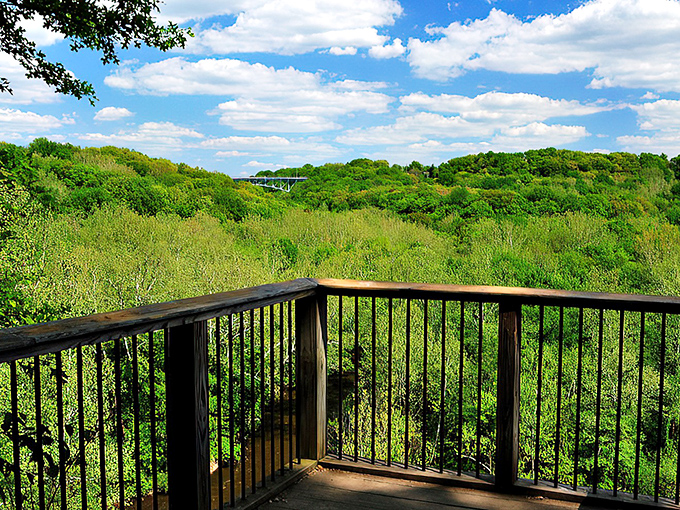 The Overlook Observation Deck offers a front-row seat to Ohio's verdant symphony, where rolling hills and distant bridges create nature's perfect panorama.