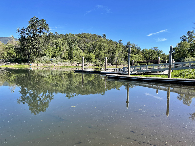 Mirror, mirror on the lake &ndash; Clear Lake's boat dock offers perfect reflections that would make Instagram filters jealous.