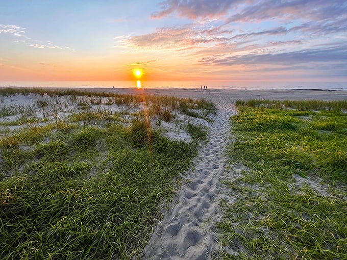 Nature's own red carpet unfurls toward the Atlantic, complete with golden hour lighting that Hollywood directors envy.