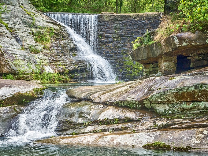 Nature's own infinity pool. The cascading waterfall at Dixon Springs creates a serene soundtrack that makes even the most stressed-out city dweller exhale deeply.