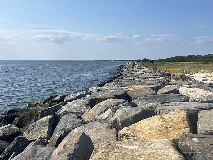 Where land meets sea meets sky &ndash; Island Beach State Park's rocky jetty offers prime fishing spots and contemplative moments for those seeking both catch and clarity.