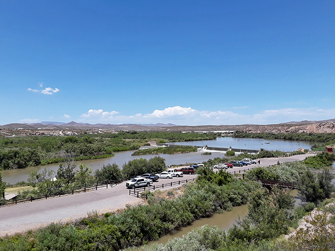 The Rio Grande creates a stunning oasis at Leasburg Dam State Park, where desert meets water in a landscape that feels almost rebelliously lush.