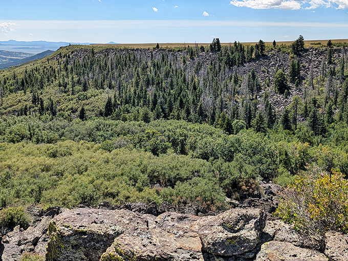 Nature's own amphitheater unfolds at Sugarite Canyon, where dramatic rock formations stand like ancient sentinels watching over a verdant valley below.