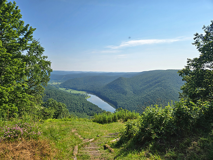 That moment when you realize your lakeside campsite has better views than most five-star hotel rooms.