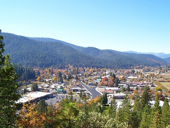 Quincy nestles into its mountain valley like a painting come to life, autumn colors creating a patchwork quilt against the evergreen backdrop.