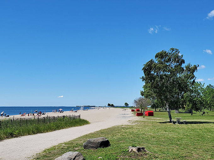 Where land meets sea in perfect harmony &ndash; Sherwood Island's pristine shoreline stretches before you like nature's welcome mat to Long Island Sound.