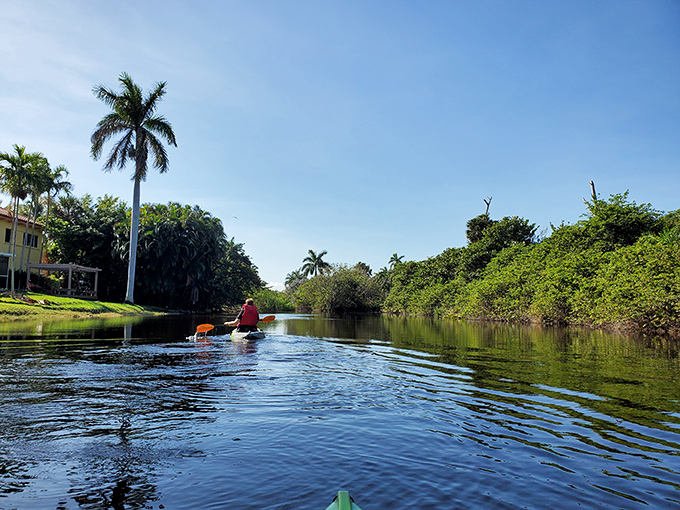 Nature's highway awaits paddlers on the park's tranquil lagoon, where towering palms stand sentinel and mangroves whisper secrets of old Florida.