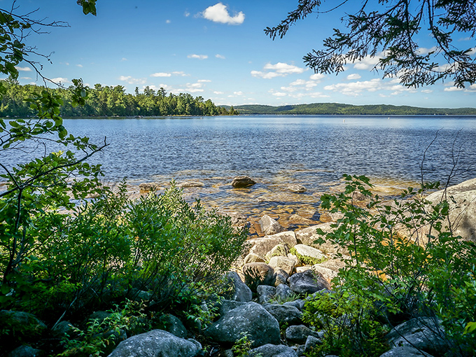 The shores of Sebec Lake offer a stunning view, with roots exposed by the winter chill, creating the perfect picnic spots between land and water.