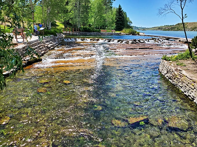 Nature's staircase of crystal-clear water cascading over rocky shelves. The springs' impossible clarity makes you wonder if someone secretly installed underwater lighting.