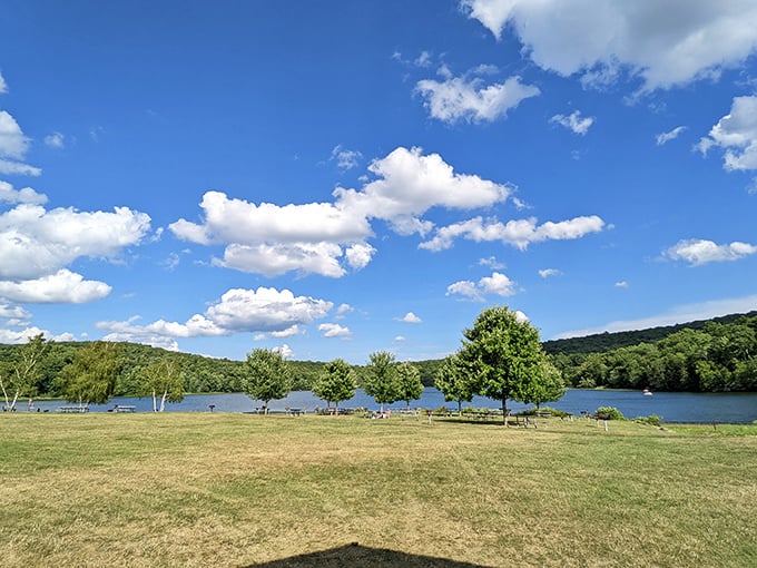 Mother Nature's living room at Ringwood State Park, where the sky serves up a perfect blue backdrop for an afternoon of lakeside daydreaming.