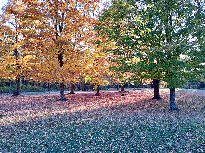 Fall at Great Seal State Park isn't just a season&mdash;it's nature's way of showing off its entire color palette at once.