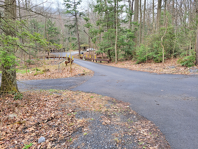 The winding roads of Big Spring State Park invite exploration like a secret passage to nature's living room. No crowds, just possibilities.
