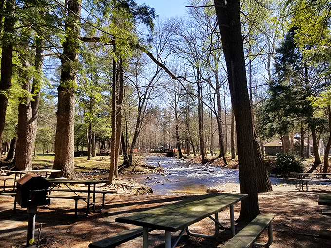 Nature's perfect picnic spot where Conococheague Creek provides the soundtrack and towering trees offer shade. Pennsylvania's version of paradise found.