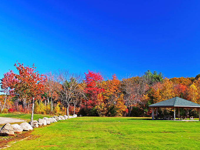 Fall's paintbrush transforms Lincoln Woods into nature's masterpiece. That gazebo isn't just inviting you&mdash;it's practically sending engraved invitations.