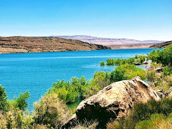 The kind of panorama that makes you question why you ever waste time indoors. Quail Creek's azure waters stretch toward distant mesas.