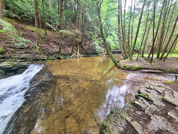 Nature's own infinity pool! The shallow waters of Fall Brook create perfect reflecting pools beneath towering hemlocks, inviting you to wade in and cool off.