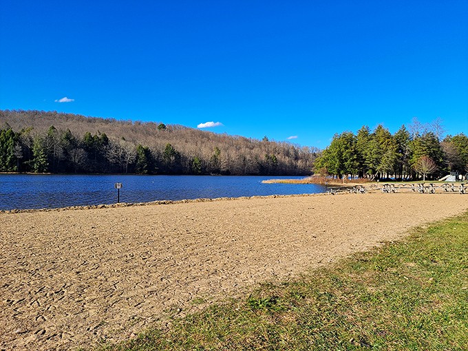 Chapman's sandy beach invites you to wiggle your toes while contemplating life's big questions&mdash;like why you waited so long to visit.