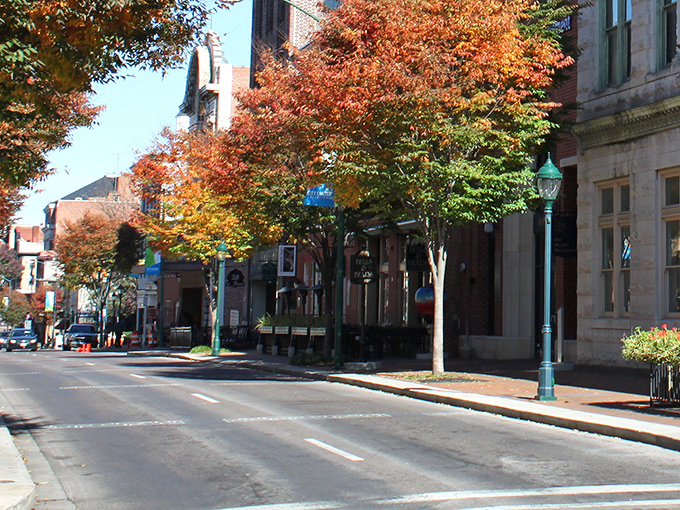 Fall in Hagerstown transforms downtown into nature's art gallery, where historic brick buildings stand shoulder-to-shoulder with trees dressed in their autumn finest.