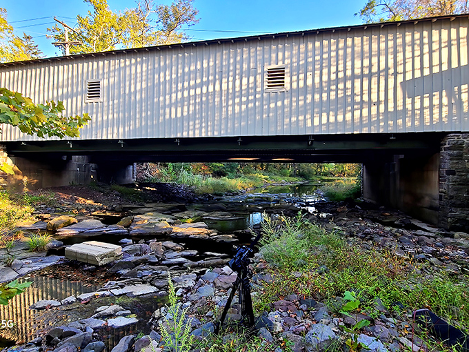Sunlight plays hide-and-seek through the wooden slats, creating nature's own light show above the creek.