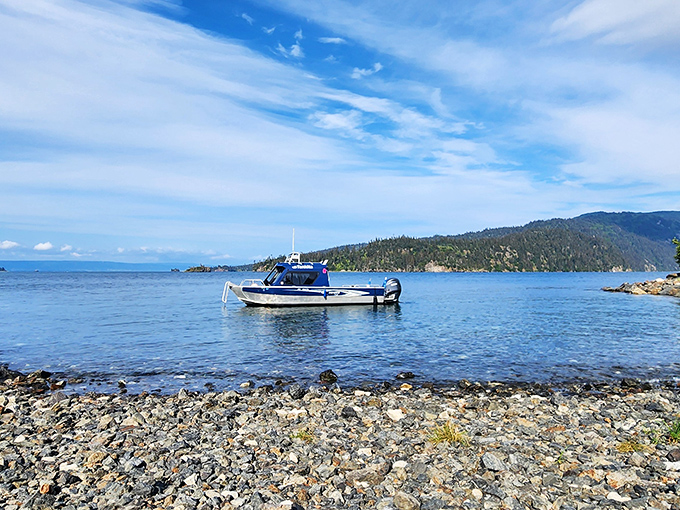 The ultimate Alaskan commute &ndash; a water taxi gliding across Kachemak Bay's crystal waters. No traffic jams, just mountains and endless blue horizons.