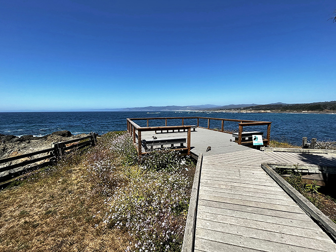 The boardwalk at MacKerricher State Park &ndash; where nature provides the best therapy session you'll ever have, no copay required.