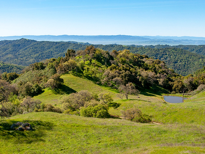 Rolling hills stretch to the horizon like nature's own version of a screensaver. This panoramic view showcases California's golden landscape at its finest.