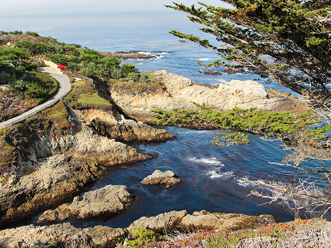 Where the Pacific meets perfection. Highway 1 curves alongside rugged cliffs and azure waters that make you question why you ever waste time indoors.