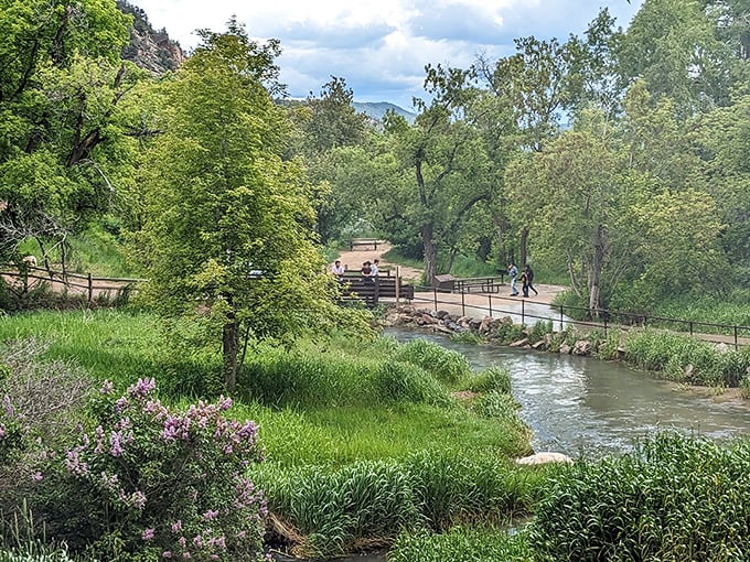 A gentle pathway winds through verdant greenery, proving that sometimes the journey to the falls is just as enchanting as the destination itself.