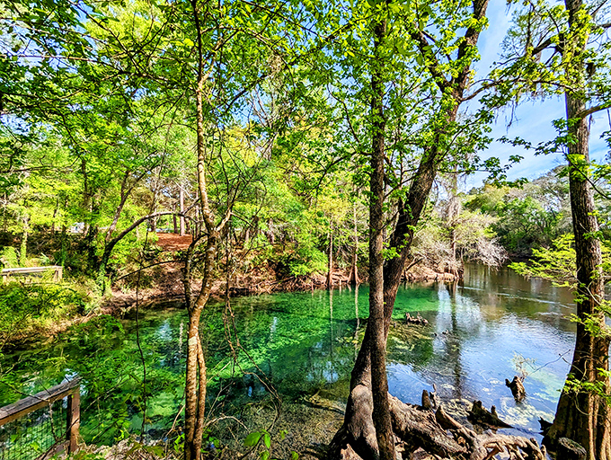 Mother Nature's swimming pool glows with an otherworldly emerald hue that makes you wonder if someone secretly installed underwater lighting.
