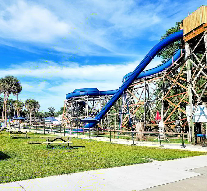 Buccaneer Bay's water slides promise the kind of adrenaline rush that makes you question your lunch choices, all ending in spring water so clear it seems Photoshopped.