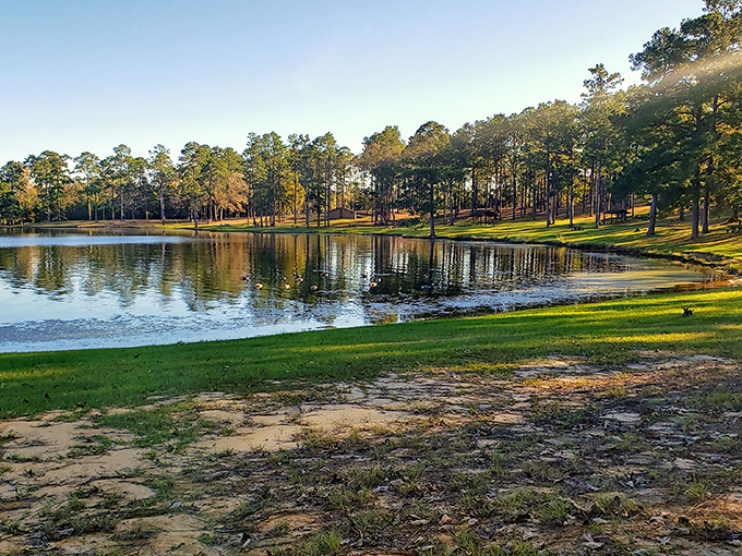 Mother Nature's mirror game is on full display at Paul B. Johnson State Park, where towering pines create a perfect reflection on Geiger Lake's glassy surface.