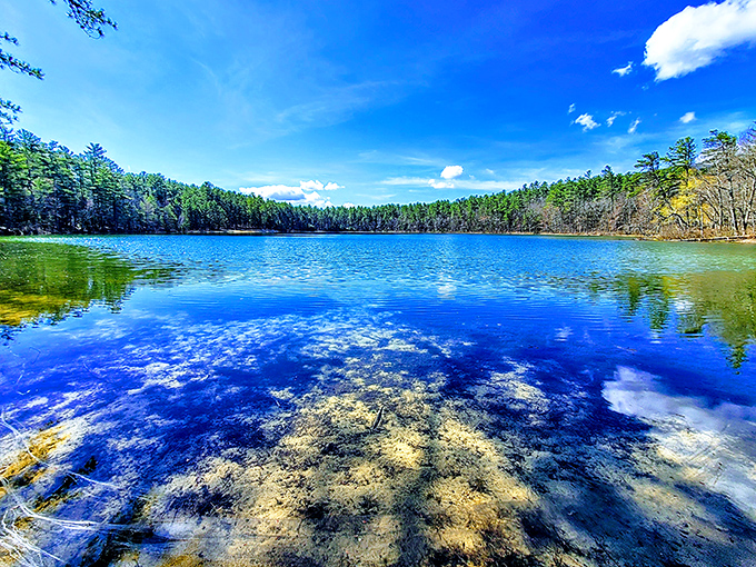 Mother Nature showing off her Photoshop skills at Echo Lake, where the water mirrors the sky so perfectly you'll wonder which way is up.
