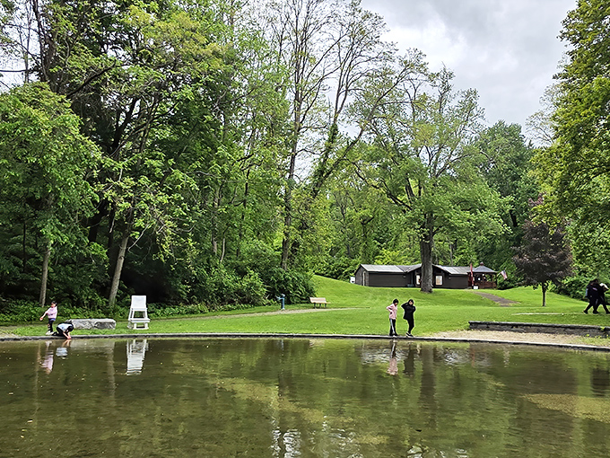 Nature's living room awaits! The serene pond reflects towering trees while rustic cabins nestle in the background, promising adventure without Wi-Fi passwords.