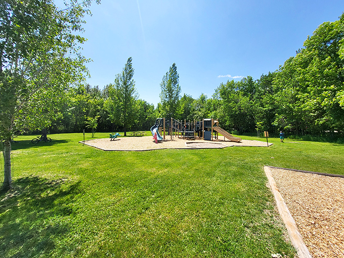 Nature's playground awaits at Lake Metigoshe, where lush greenery meets open spaces perfect for family adventures and spontaneous games of tag.