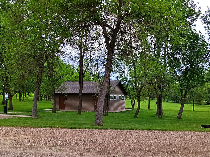 Rustic charm meets woodland serenity at this park cabin, where trees stand guard like nature's own concierge service.