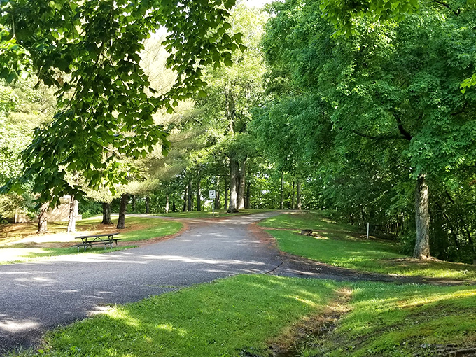Nature's welcome mat unfurls at Wolf Run State Park, where tree-lined paths invite you to leave your worries&mdash;and cell reception&mdash;behind.