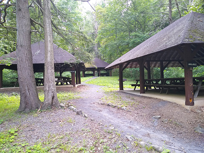 Rustic picnic pavilions nestled among towering trees&mdash;nature's dining room where even squirrels might envy your sandwich spot.