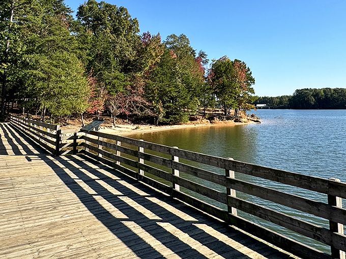Autumn's golden touch transforms the shoreline into a painter's dream, where every angle deserves its own frame on your wall.