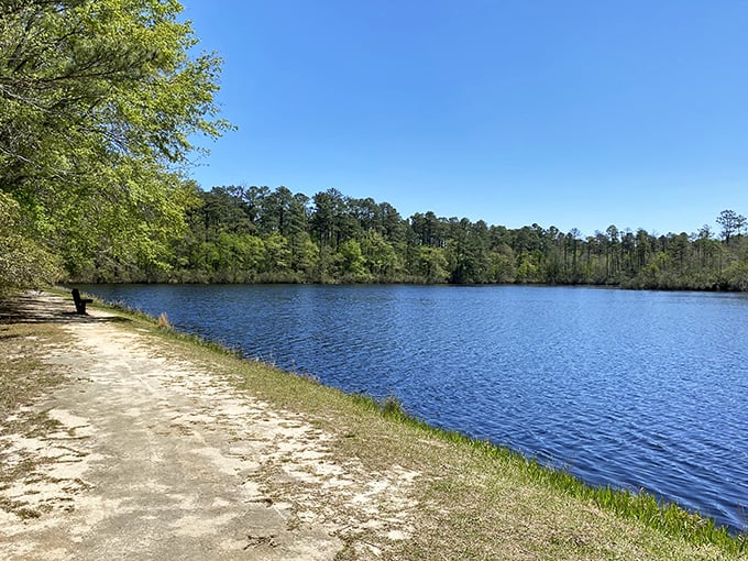 The perfect blend of blue sky and bluer water, with a sandy path that practically begs for bare feet and unhurried exploration.