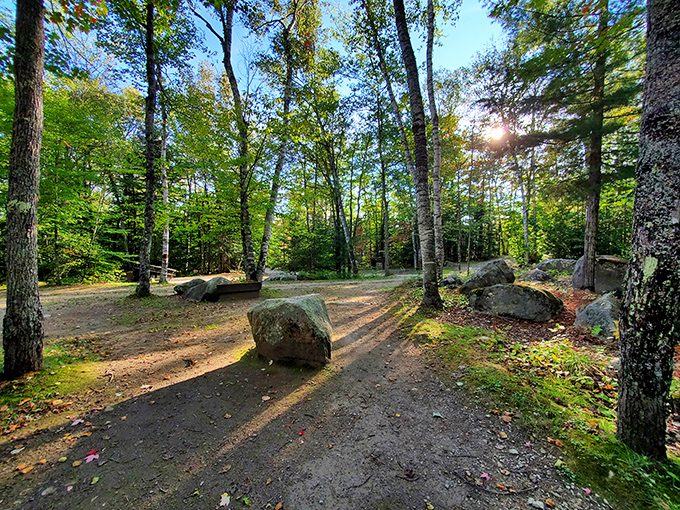Nature's therapy session in progress. These sun-dappled trails and ancient boulders at Big Deer State Park are better than any meditation app you've downloaded.