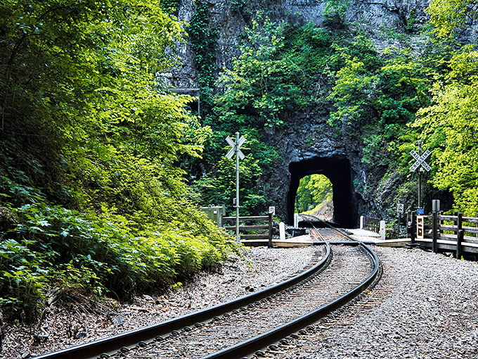 This tranquil boardwalk crossing offers a front-row seat to the changing seasons, where railway history meets Appalachian wilderness in perfect harmony.