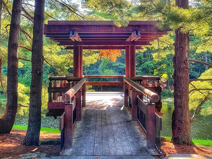 This Japanese-inspired wooden pavilion isn't just a bridge&mdash;it's a portal between worlds of everyday hustle and garden serenity.
