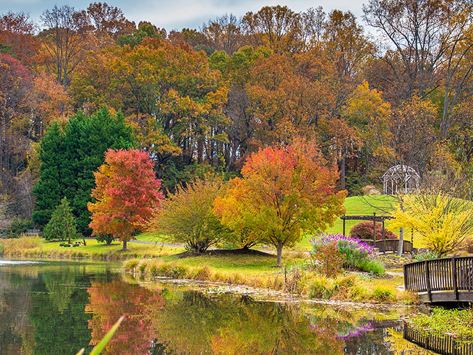 When fall decides to paint with every crayon in the box, this is what happens at Meadowlark.