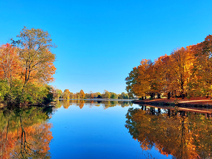 Nature's mirror trick never gets old &ndash; autumn trees doubling themselves in Madison Lake's glassy surface.